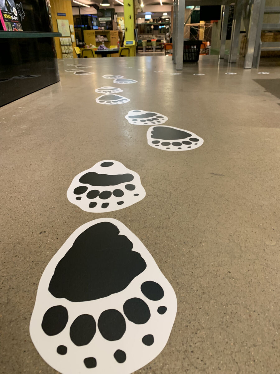 Zooma in på rovdjuren i Uppsala län - Upplandsstiftelsen